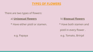 REPRODUCTION IN PLANTS ppt. class 7.pptx