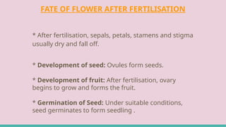 REPRODUCTION IN PLANTS ppt. class 7.pptx