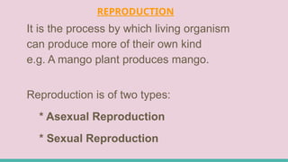 REPRODUCTION IN PLANTS ppt. class 7.pptx