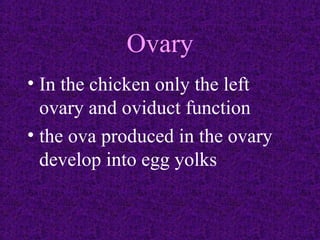 Reproduction in poultry | PPT