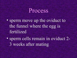 Reproduction in poultry | PPT