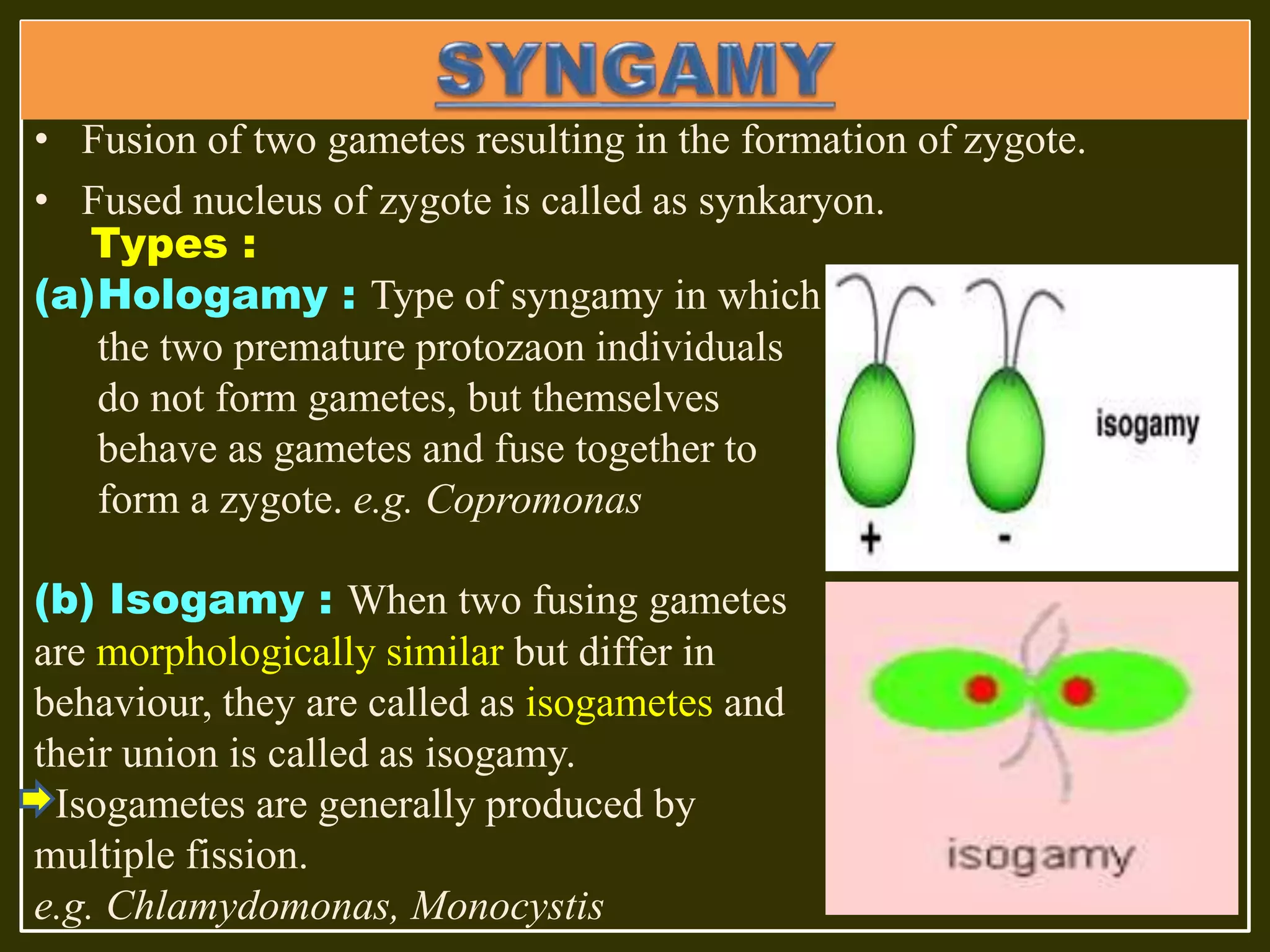 Reproduction in protozoa | PPTX