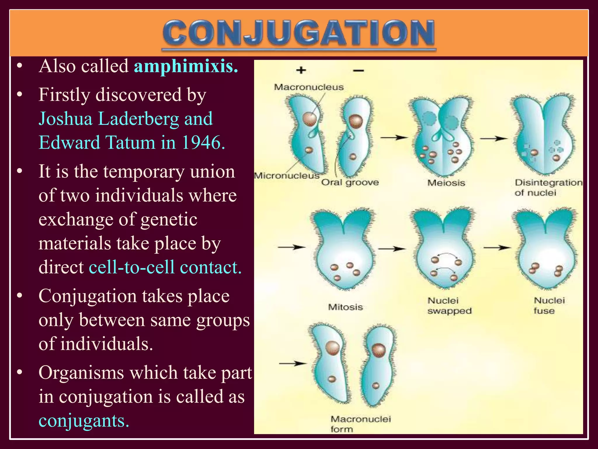 Reproduction in protozoa | PPTX