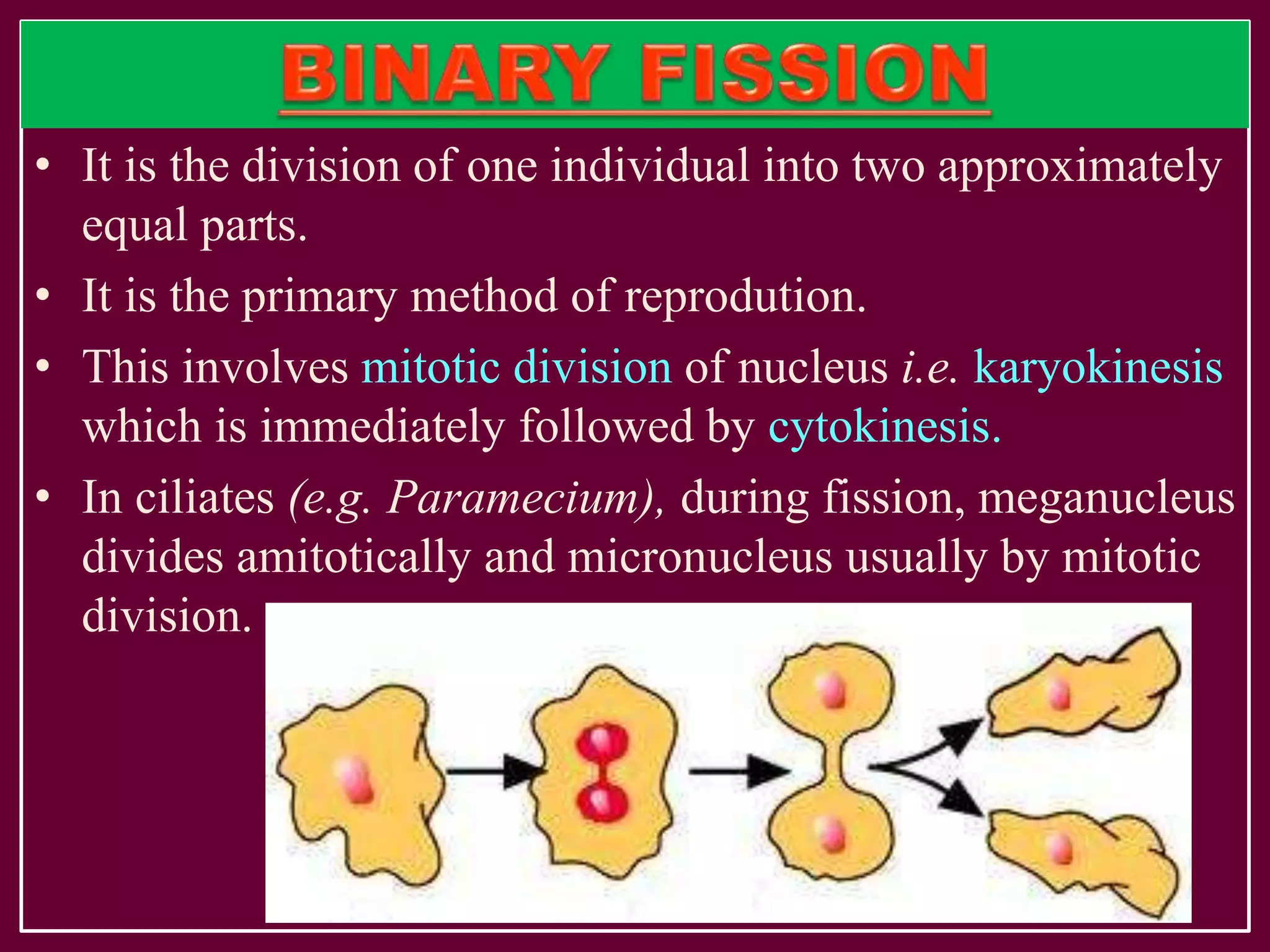Reproduction in protozoa | PPTX