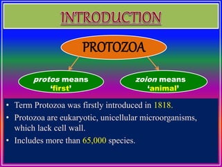 Reproduction in protozoa | PPTX