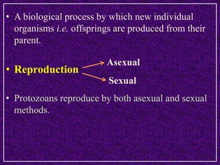Reproduction in protozoa | PPTX