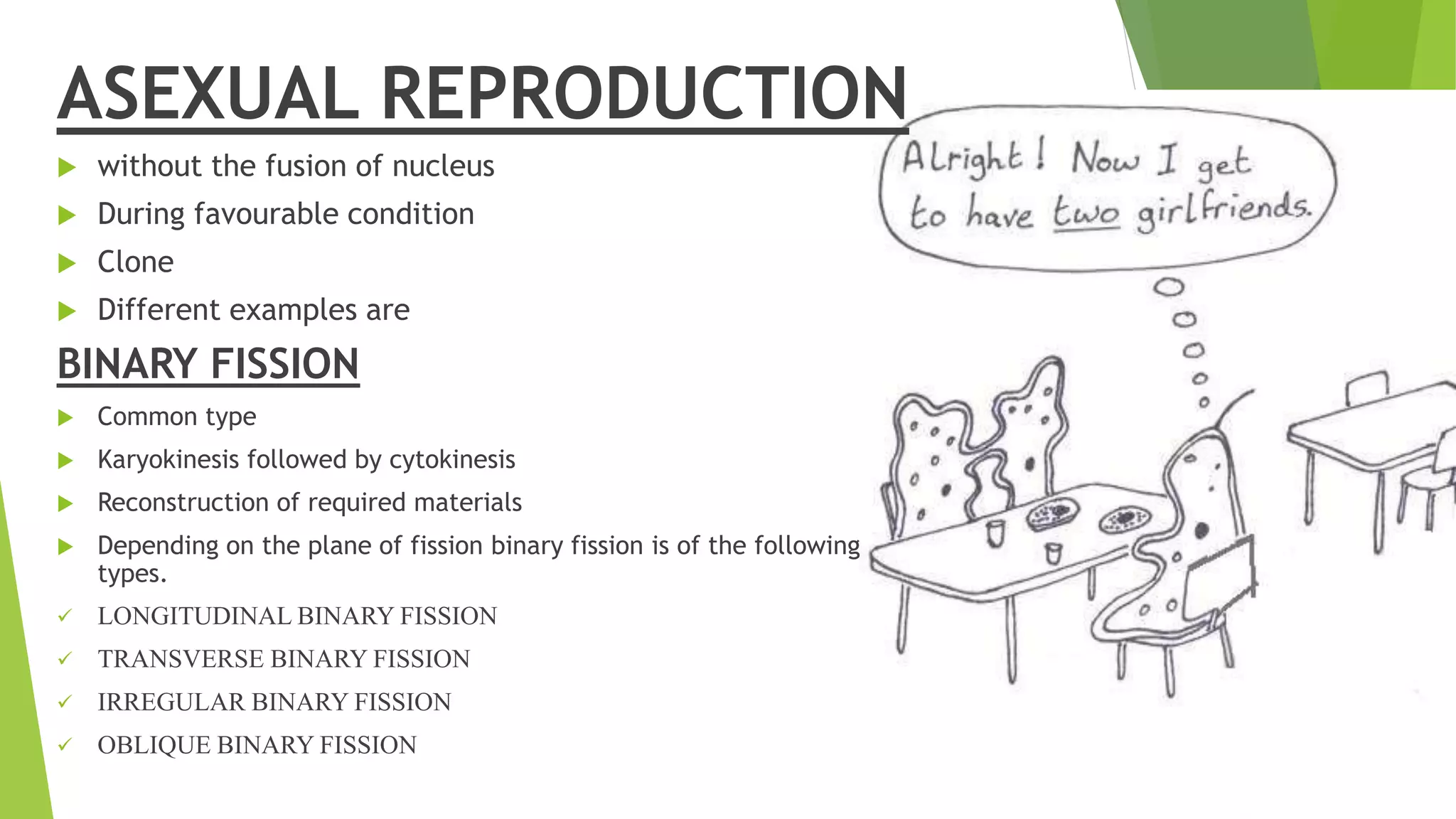 Reproduction in protozoa | PPTX