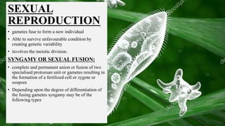 Reproduction in protozoa | PPTX