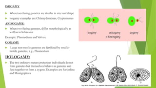 Reproduction in protozoa | PPTX