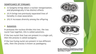 Reproduction in protozoa | PPTX