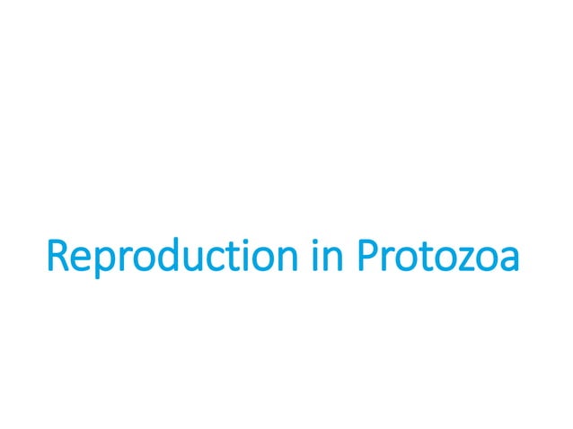 Reproduction in Protozoa.pptx