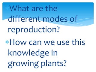 Reproduction intro | PPTX