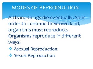 Reproduction intro | PPTX