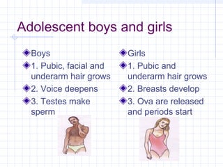 Human reproduction lesson 5 | PPT