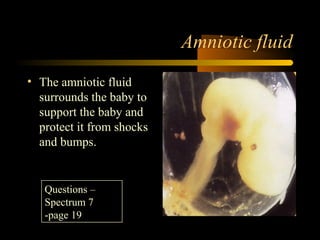 Human reproduction lesson 6 | PPT