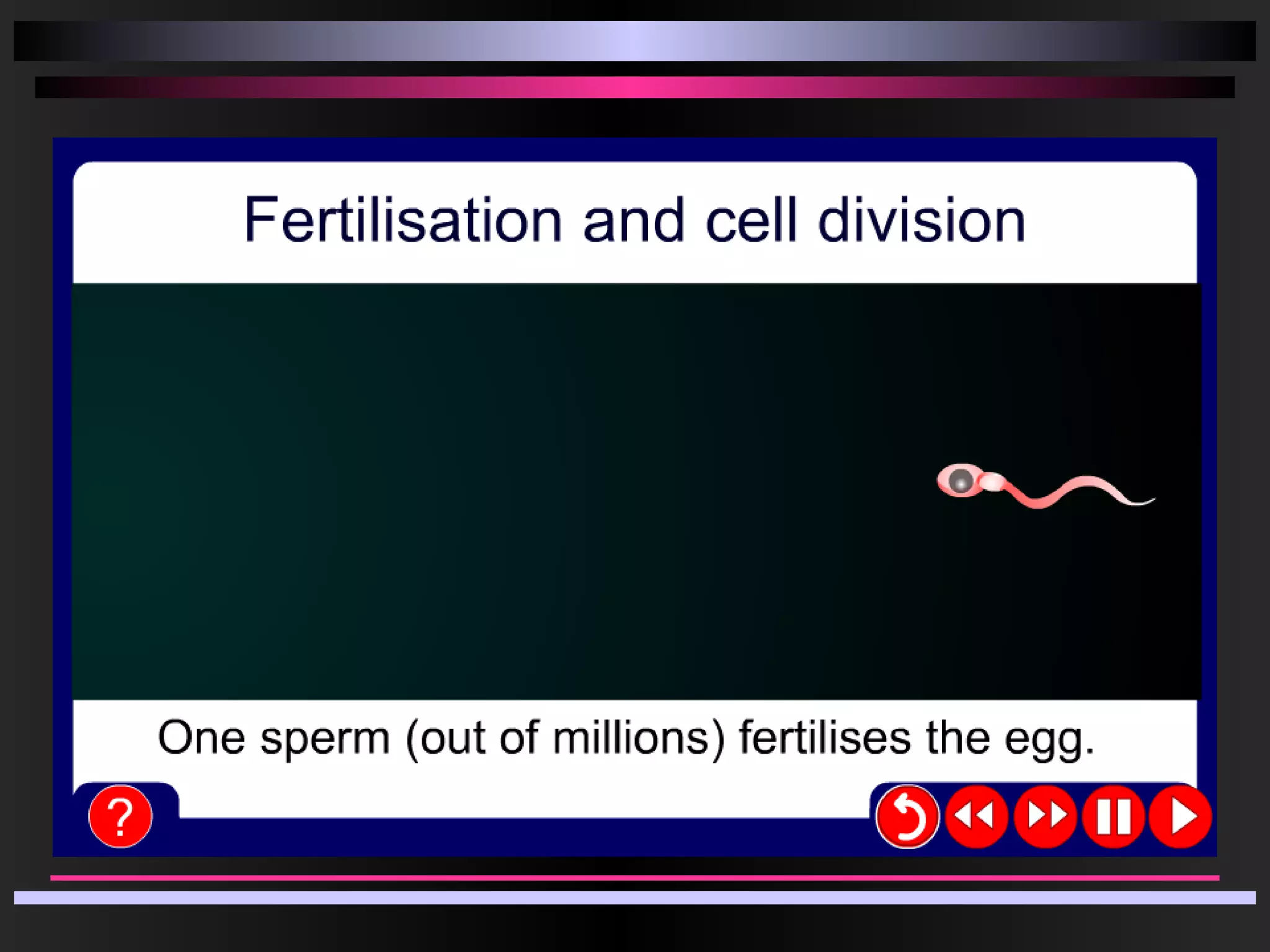 Human reproduction lesson 8 | PPT