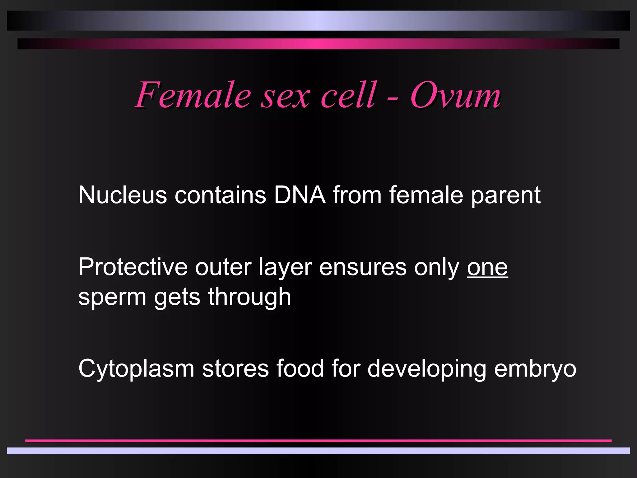 Human reproduction lesson 8 | PPT