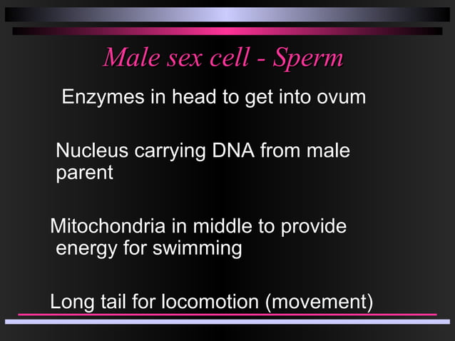 Human reproduction lesson 8 | PPT