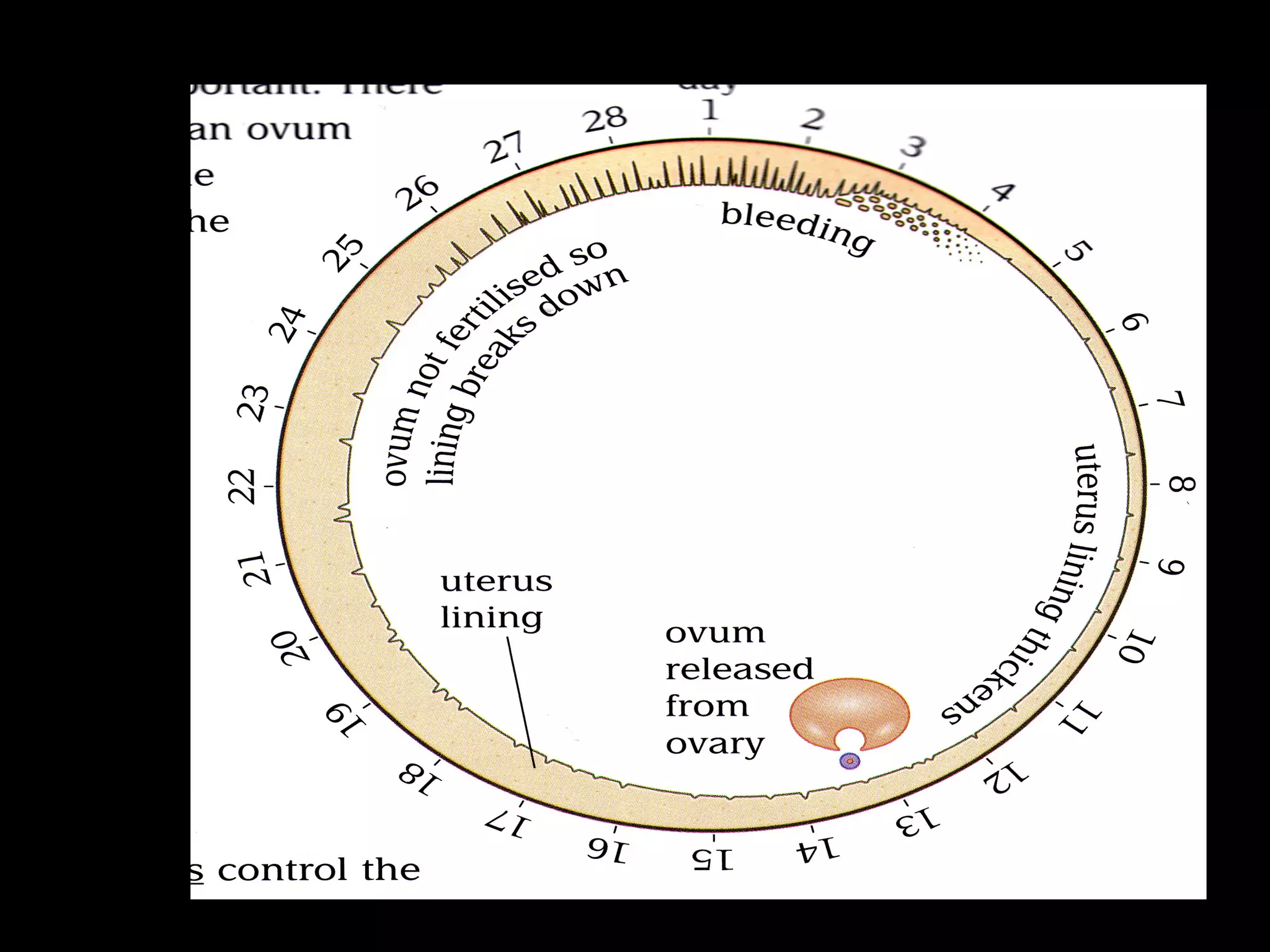 Human reproduction lesson 9 | PPT