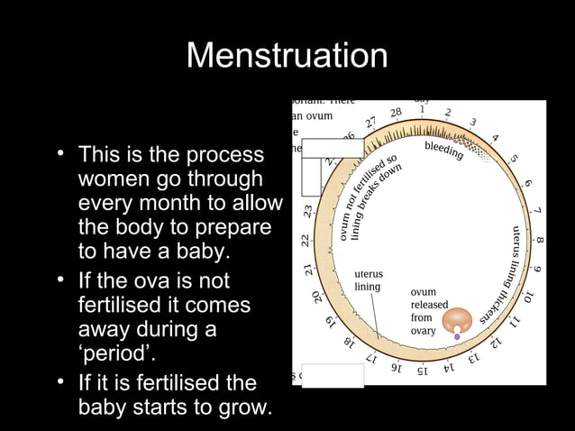 Human reproduction lesson 9 | PPT