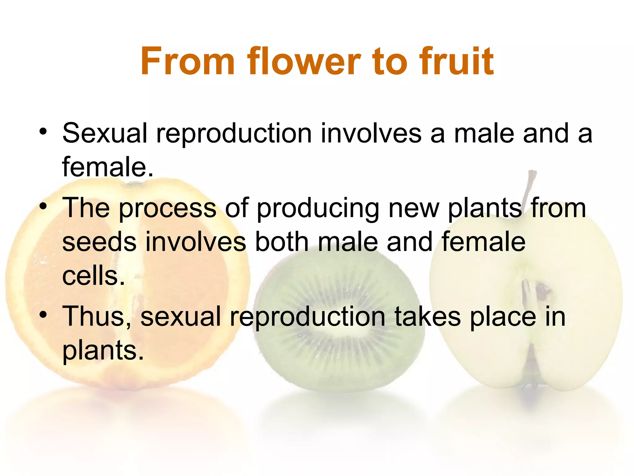 Reproduction lesson 5a (pollination and fertilisation) | PPT