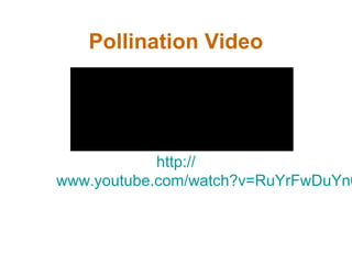 Reproduction lesson 5a (pollination and fertilisation) | PPT