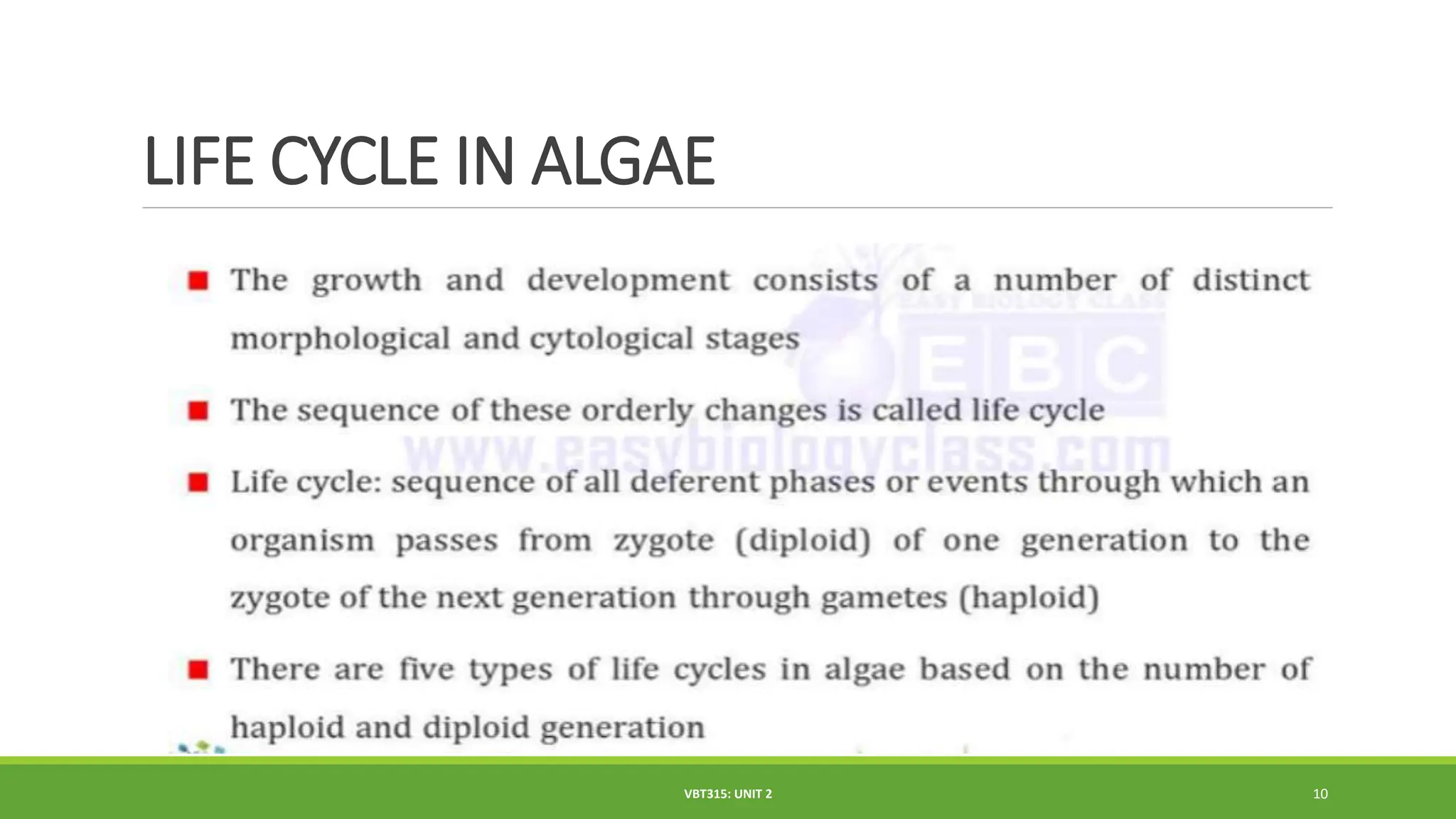 Reproduction & Life cycle of micro and macro algae | PPT