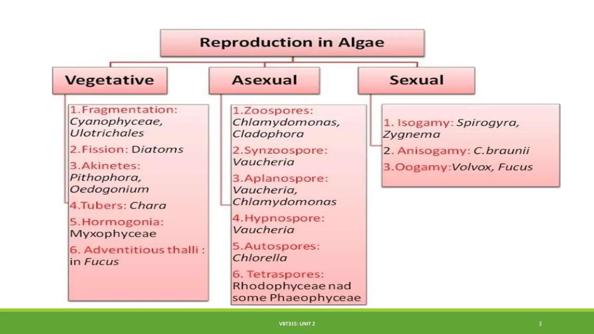 Reproduction & Life cycle of micro and macro algae | PPT