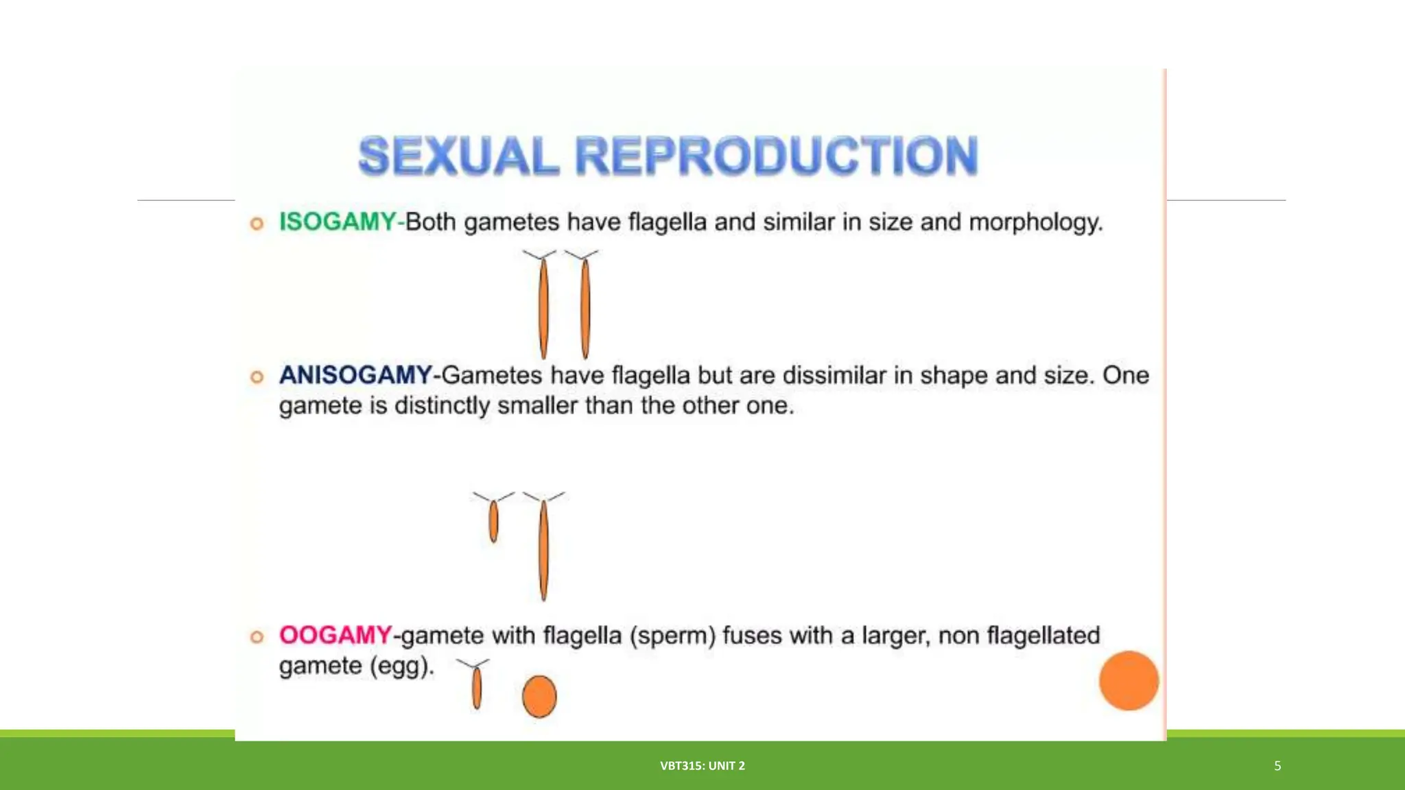 Reproduction & Life cycle of micro and macro algae | PPT