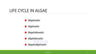 Reproduction & Life cycle of micro and macro algae | PPT