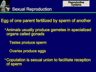 reproductionmader powerpoint biology.ppt