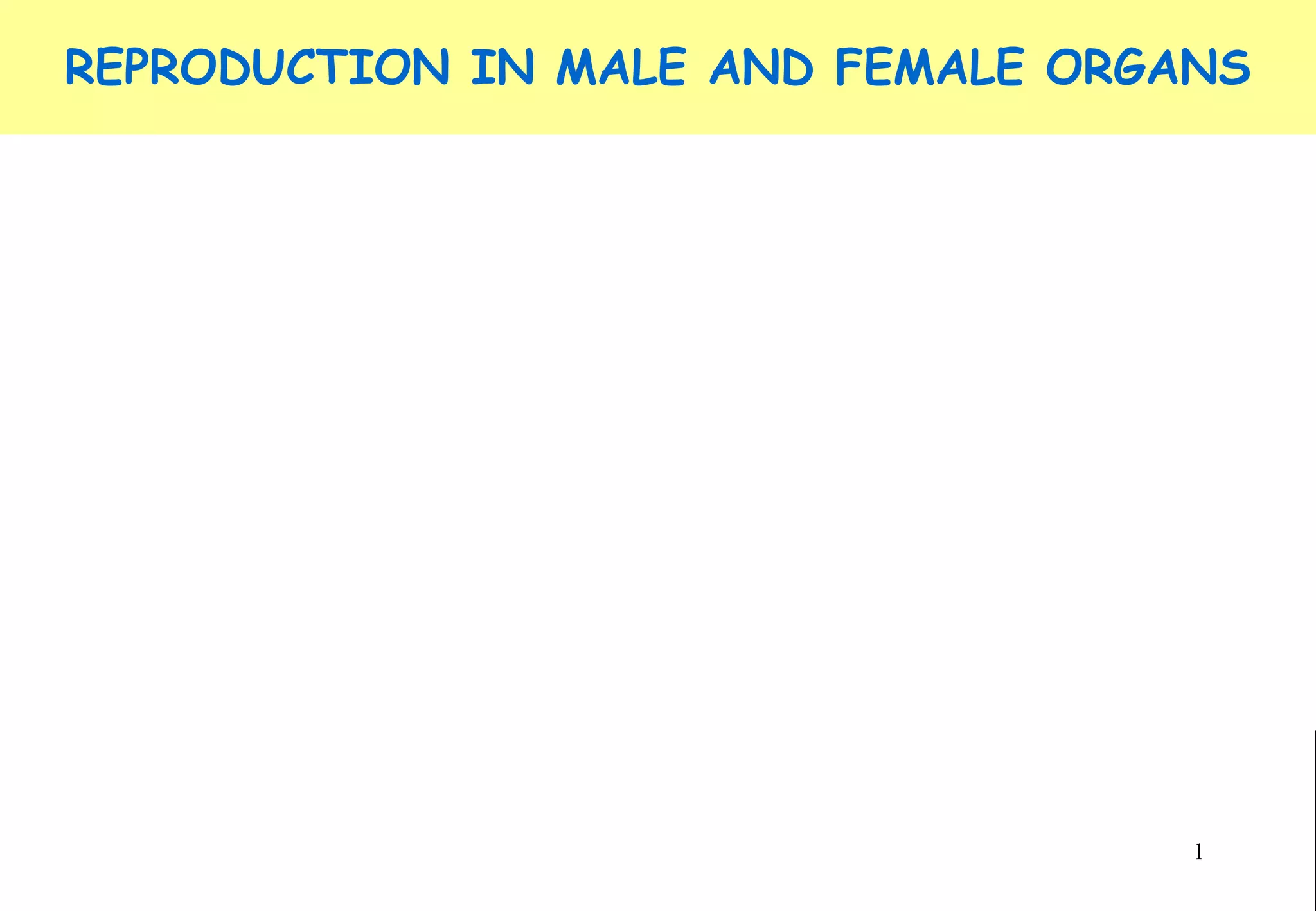 REPRODUCTION MALE AND FEMALE ORGANS..pptx