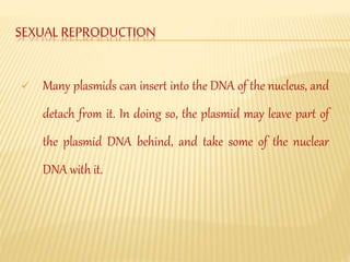Reproduction methods in bacteria | PPTX