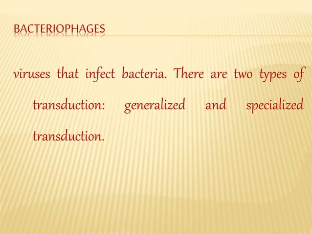 Reproduction methods in bacteria | PPT