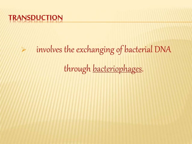 Reproduction methods in bacteria