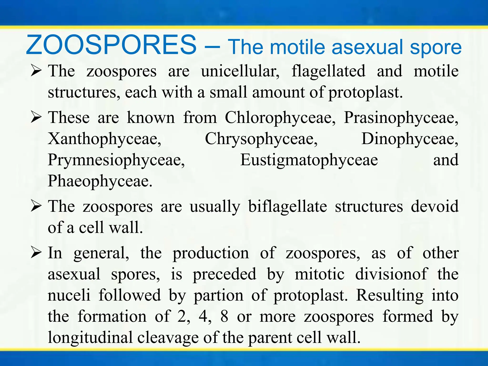 Reproduction of Algae | Vegetative, Asexual & Sexual reproduction | PPTX