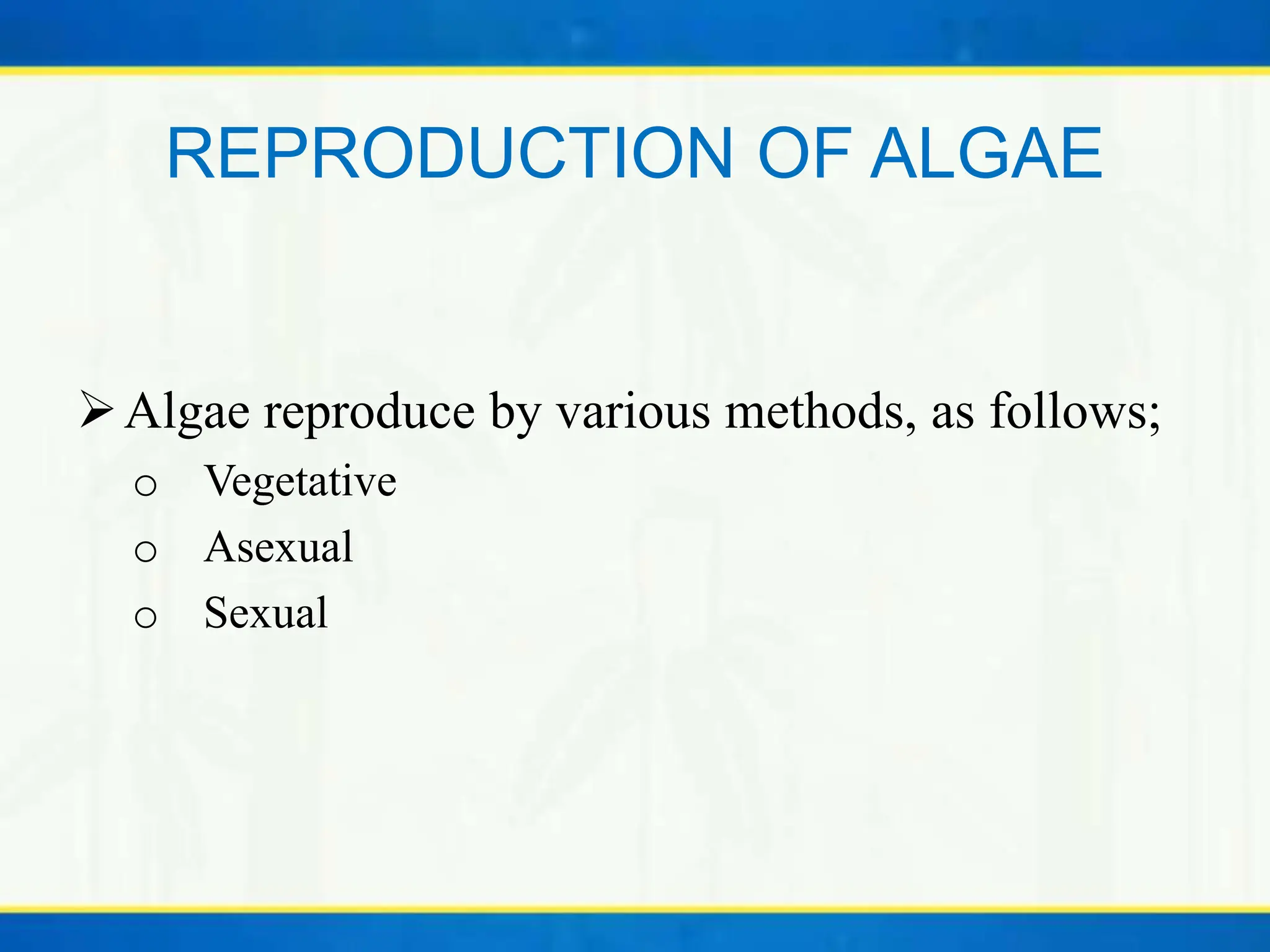 Reproduction of Algae | Vegetative, Asexual & Sexual reproduction | PPTX