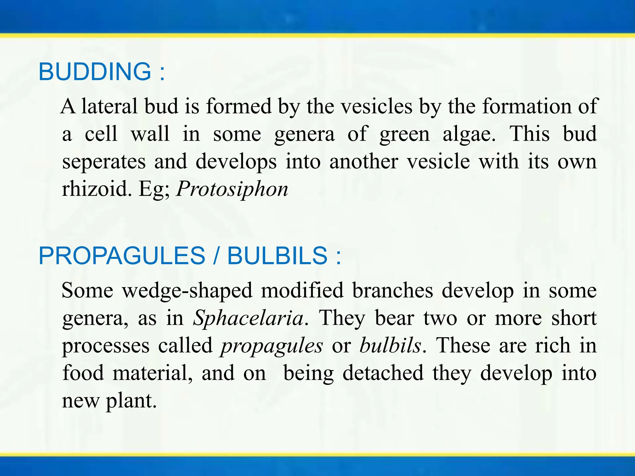 Reproduction of Algae | Vegetative, Asexual & Sexual reproduction | PPTX