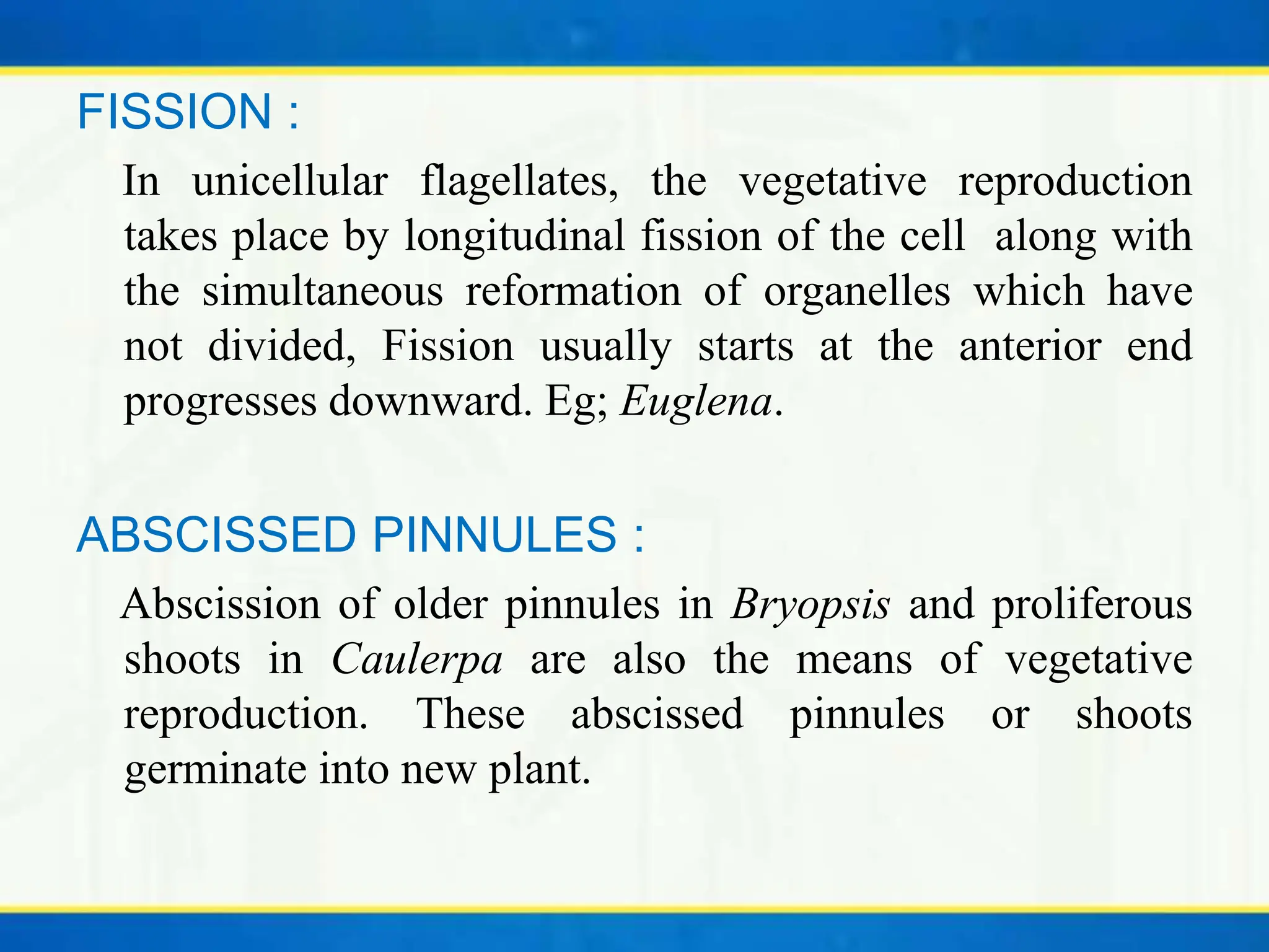 Reproduction of Algae | Vegetative, Asexual & Sexual reproduction | PPTX