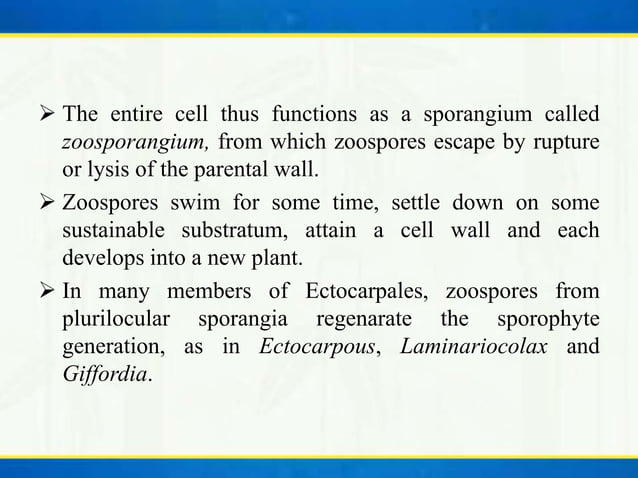 Reproduction of Algae | Vegetative, Asexual & Sexual reproduction | PPTX