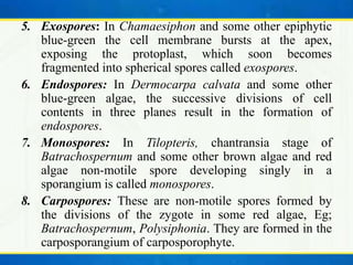 Reproduction of Algae | Vegetative, Asexual & Sexual reproduction | PPTX