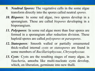Reproduction of Algae | Vegetative, Asexual & Sexual reproduction | PPTX