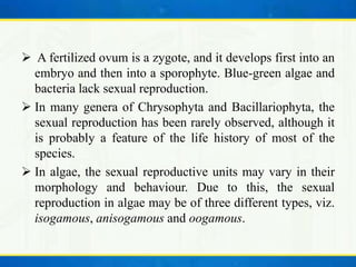 Reproduction of Algae | Vegetative, Asexual & Sexual reproduction | PPTX