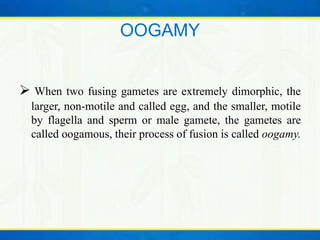 Reproduction of Algae | Vegetative, Asexual & Sexual reproduction | PPTX