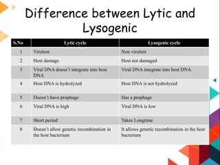 Reproduction of bacteriophages | PPTX | Biological Sciences | Science