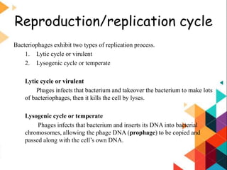 Reproductive Cycles Of A Bacteriophage