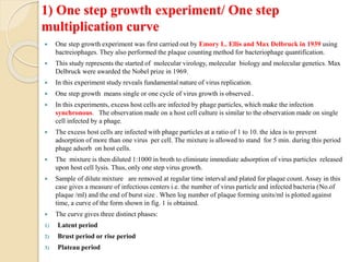 Reproduction of bacteriophages | PPTX