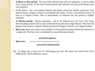 Reproduction of bacteriophages | PPTX
