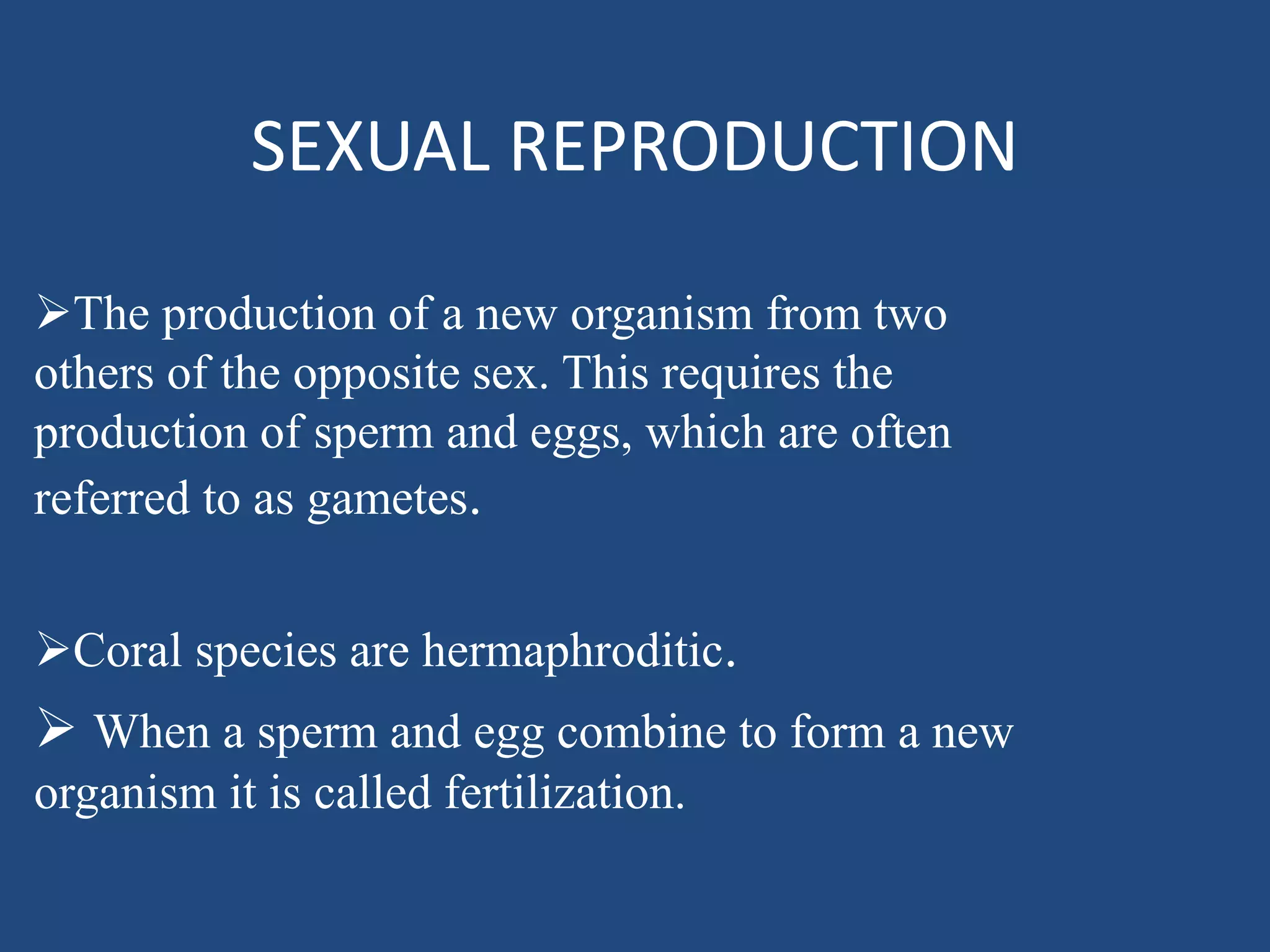 Reproduction of coral | PPTX