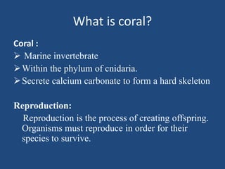 Reproduction of coral | PPTX